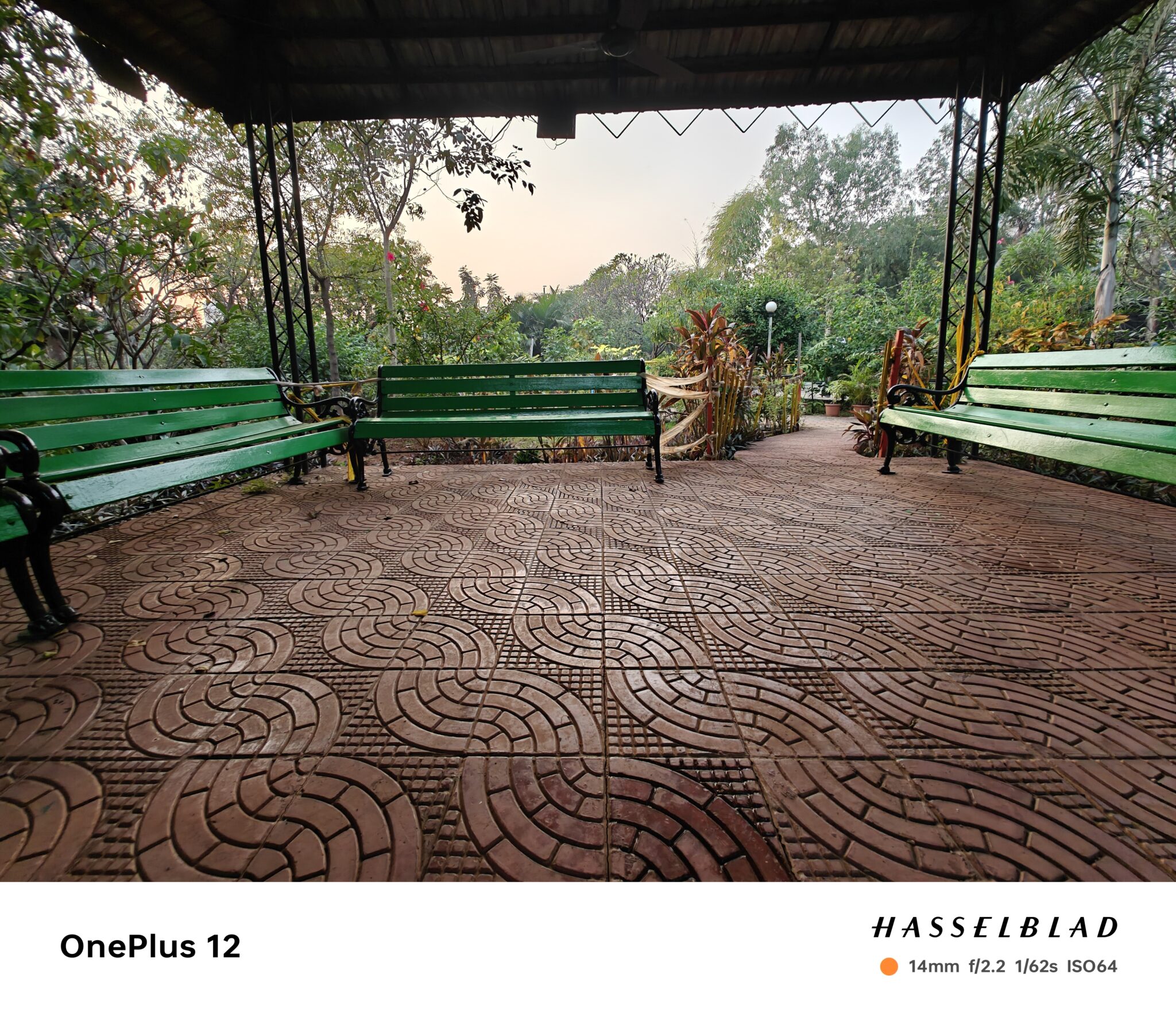 OnePlus 12 Camera Review | Asian Photography India