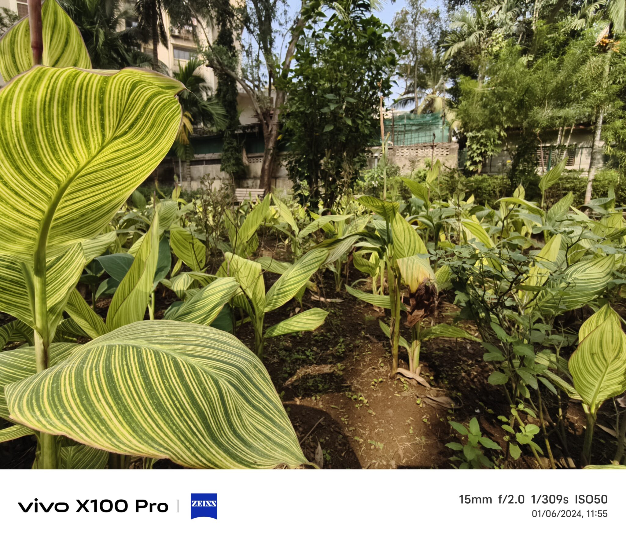 Vivo X100 Pro Camera Review | Asian Photography India