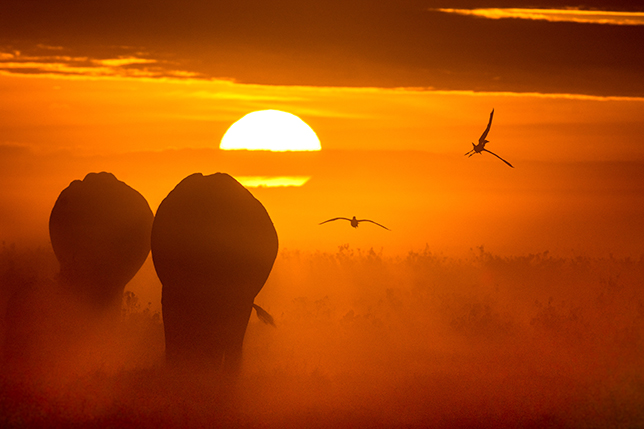 ‘Our Cameras don’t have the Capability of our Eyes’ – Varun Aditya ...