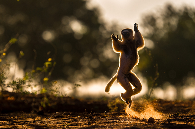 ‘Our Cameras don’t have the Capability of our Eyes’ – Varun Aditya ...