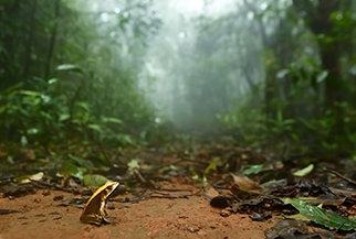 ‘Our Cameras don’t have the Capability of our Eyes’ – Varun Aditya ...